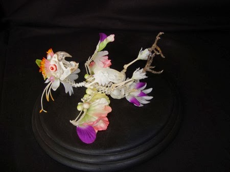 Mawar Seram Mirip Tengkorak, Terbentuk Alami Tanpa Rekayasa | KASKUS