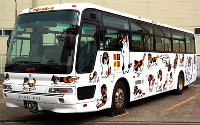 12 Kucing Dengan Profesi Istimewa | KASKUS