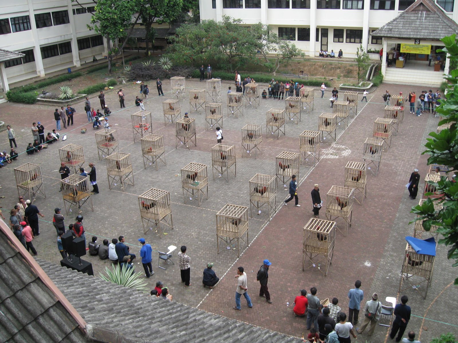 kaskuser regional cianjur - prime-id only and read the rules first ...