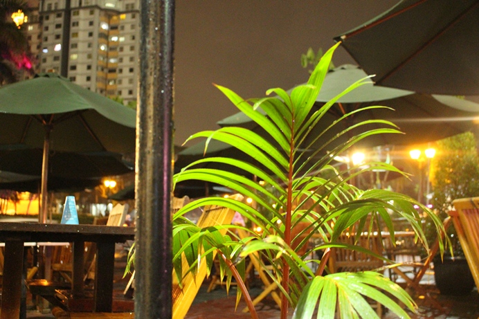 House Of Bintang Spirit : Kafe dan tempat nongkrong asyik di benton ...