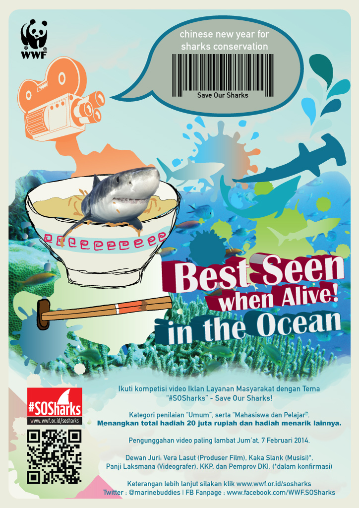 AYO Ikutan Kompetisi Video #SOSharks (Save Our Sharks) Untuk LAUT ...