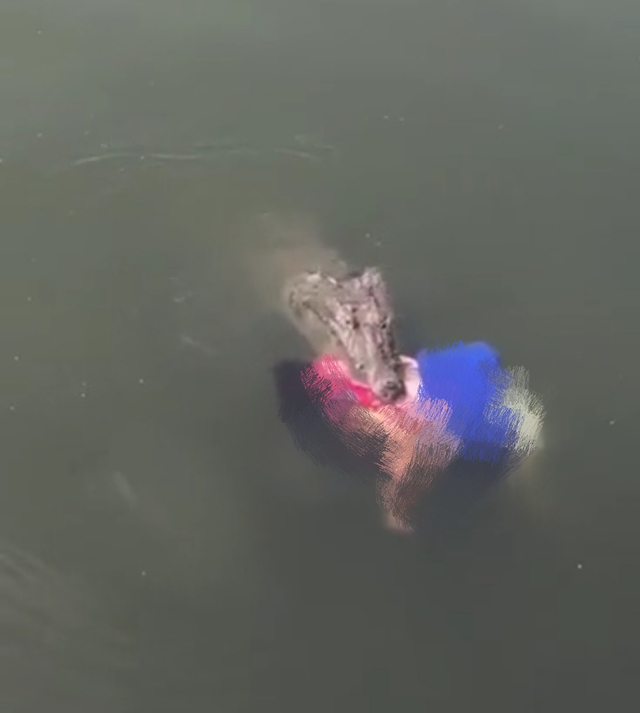 Buaya Mangsa Manusia, BKSDA Kotim: Yang Pasti Bukan di Kotim | KASKUS