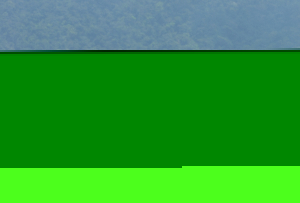 ALL Fighter Trainer Photos | KASKUS