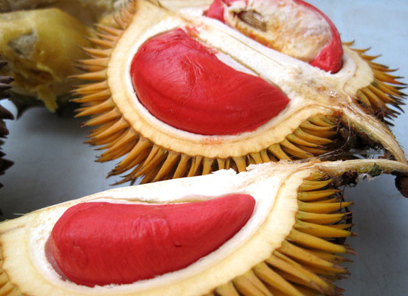 5 Jenis Durian Langka Kalimantan ini Beda dari Biasanya, nomor 5 Nggak Bau! | KASKUS