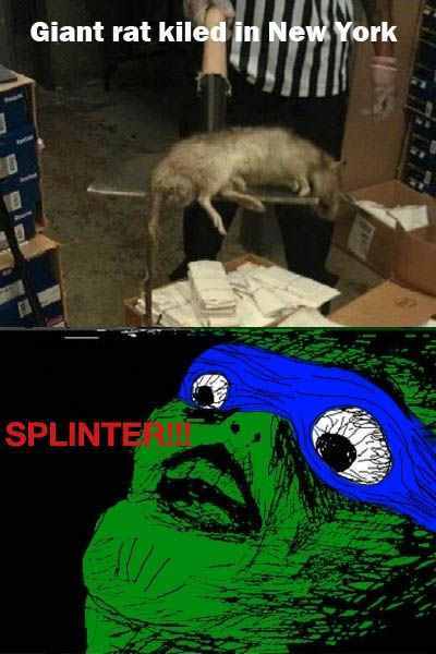 The Death of master splinter (TMNT) | KASKUS