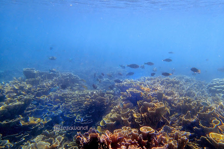 Wajah Suram Pulau Sangiang, Banten | KASKUS