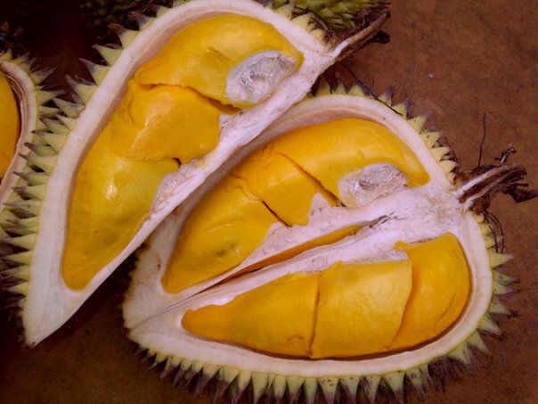 5 Jenis Durian Langka Kalimantan ini Beda dari Biasanya, nomor 5 Nggak Bau! | KASKUS