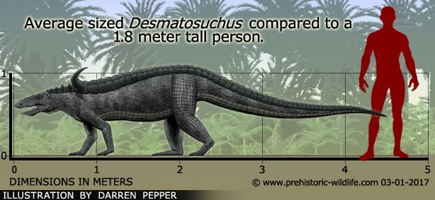 Gak Kalah Keren dari Jurasik, inilah 45 Hewan Unik dari Periode Triasik ...